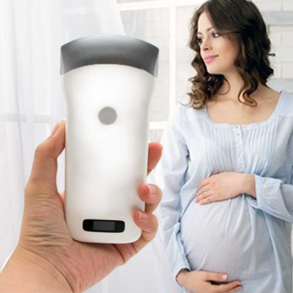 Portable Sonar Convex Probe 35-5MHs(Black & White) - Triogen Life